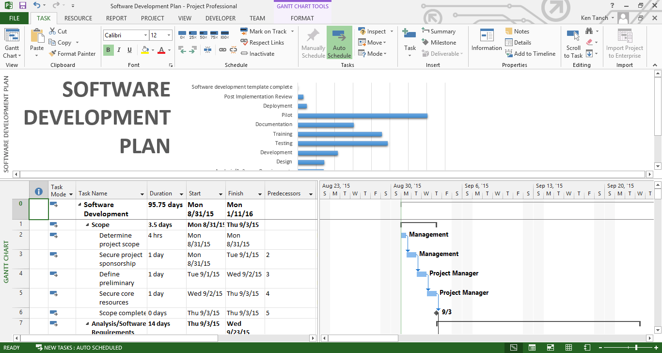 Portfolio and Project Management – William George Associates