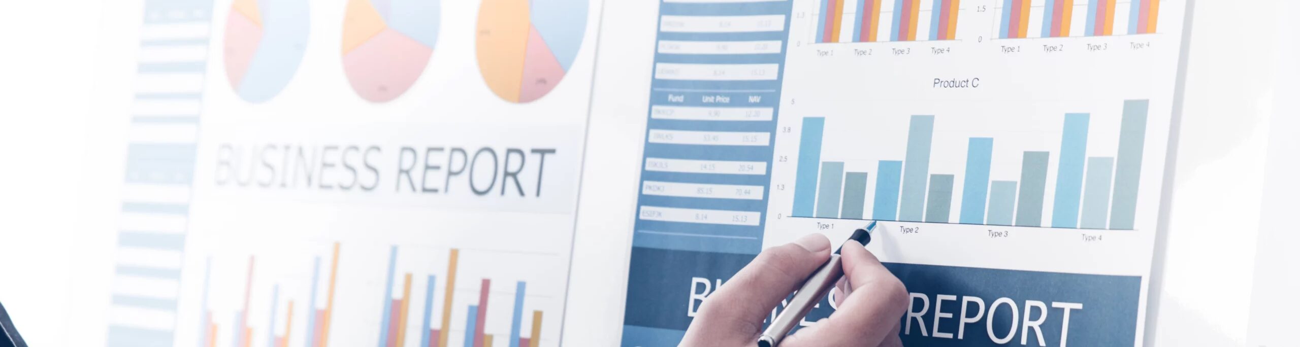 Portfolio and Project Management – William George Associates